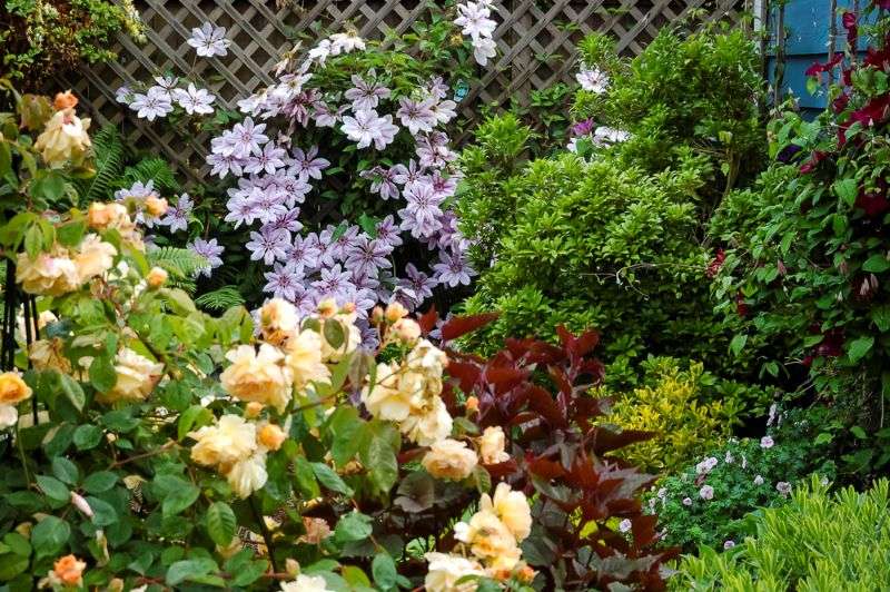 Explore the Denman Island Home and Garden Tour - Denman Conservancy ...